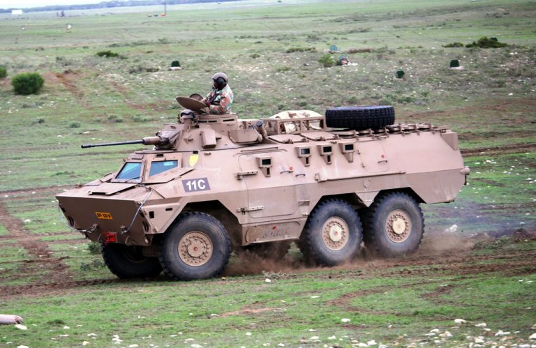 A view on the South African Army - EDR Magazine