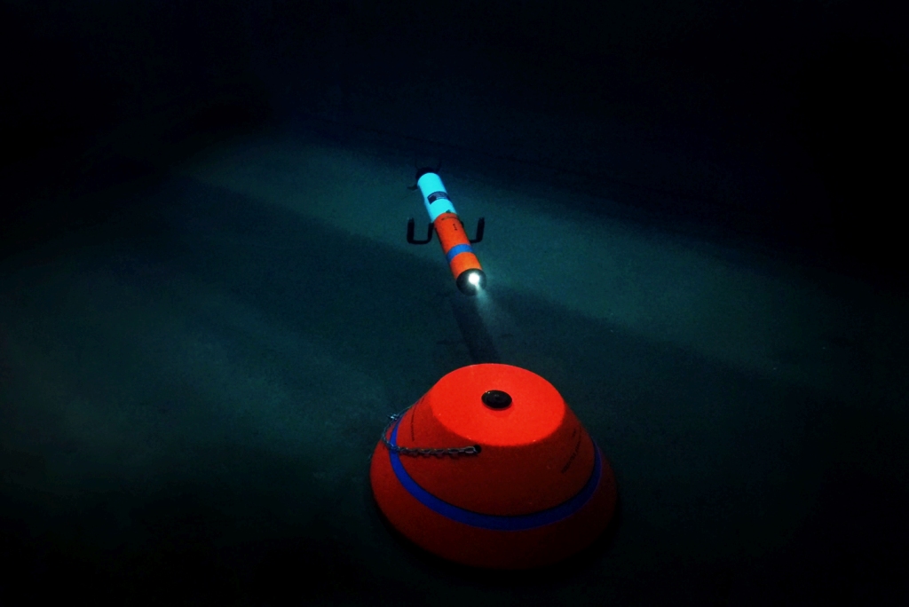 BAE Systems secures major mine neutraliser contract with US Navy - EDR ...